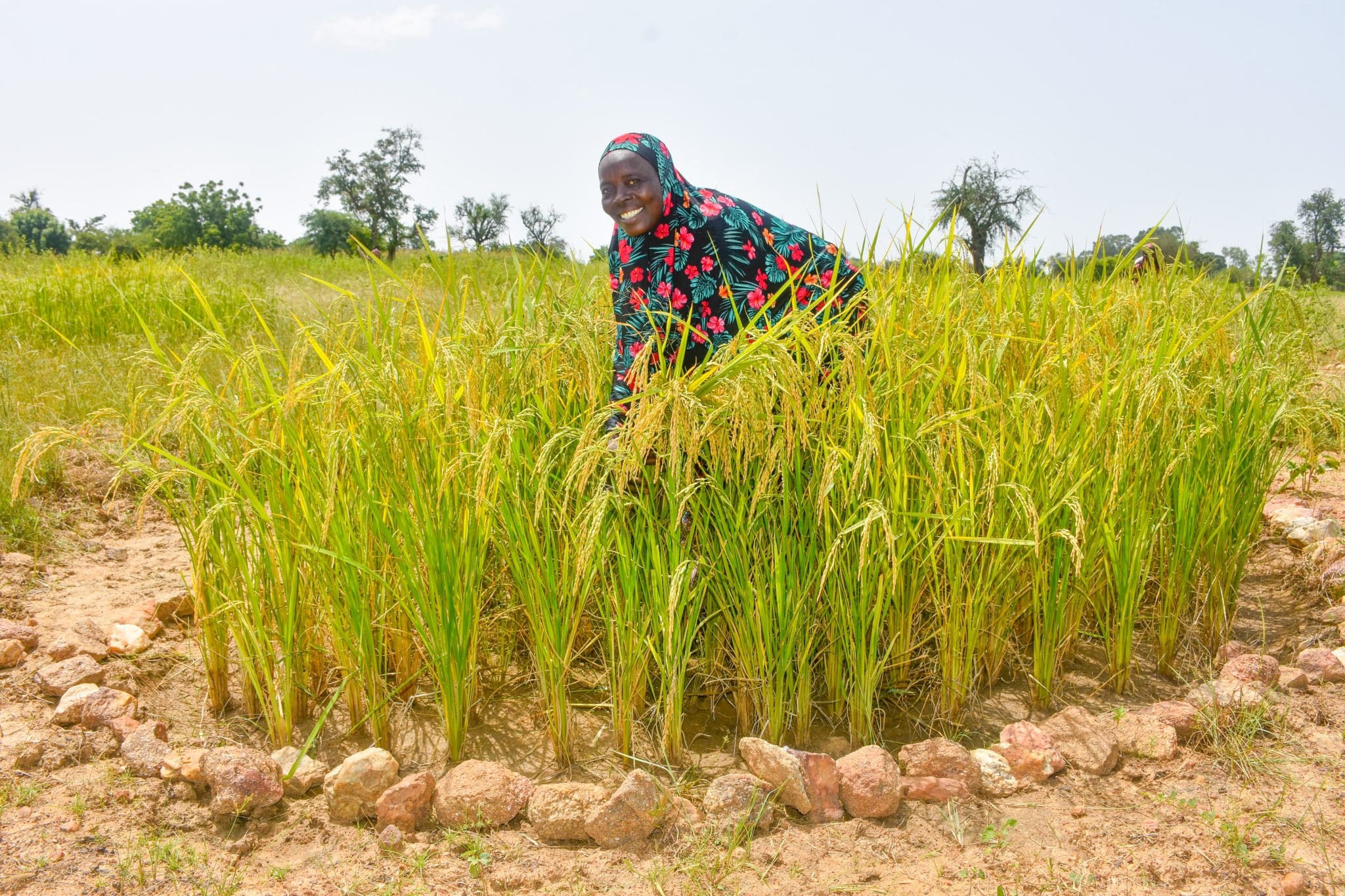 Solidar Suisse in Burkina Faso: Fighting to improve the living ...